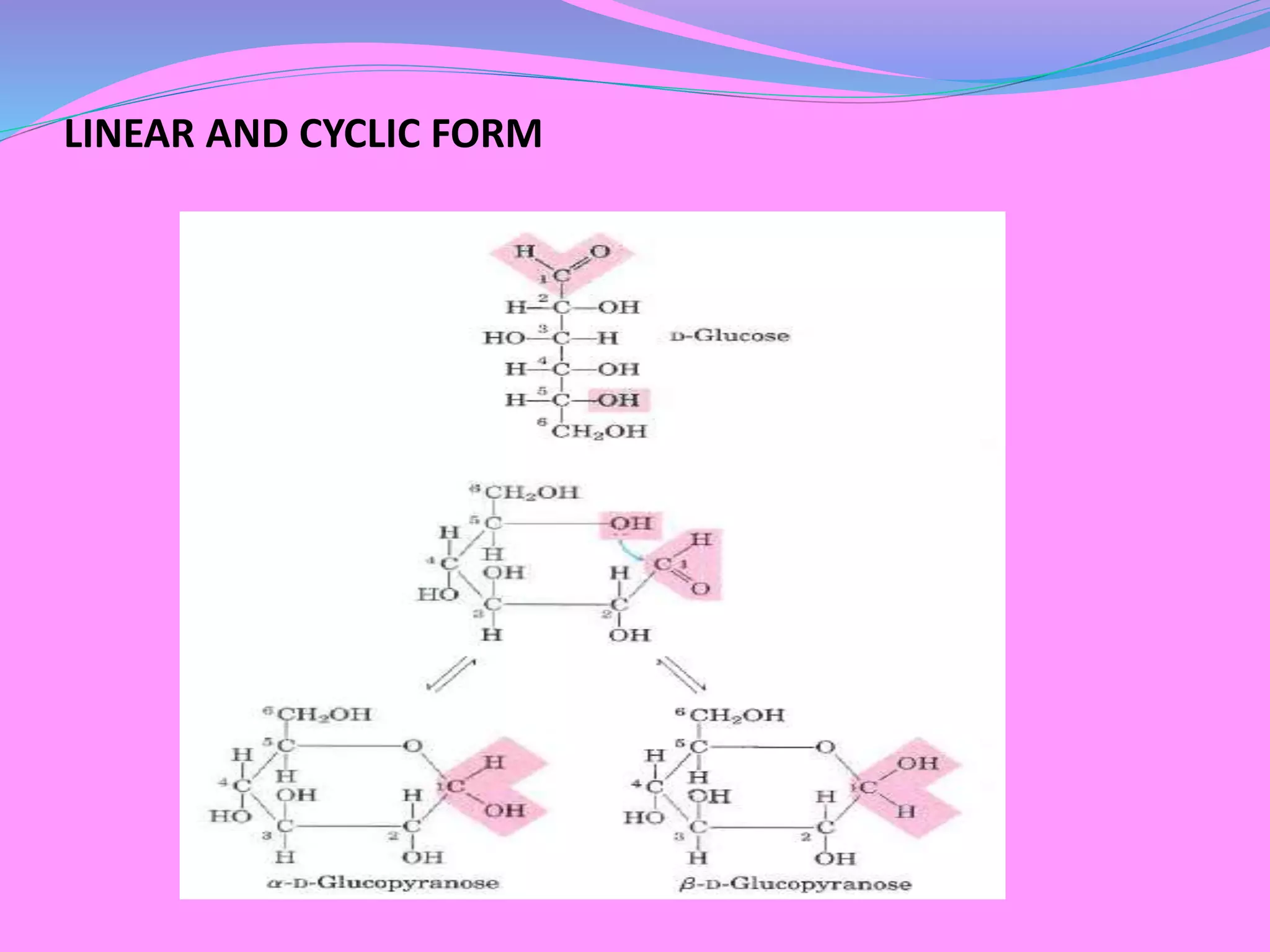 Conformational properties of polysaccharides | PPTX