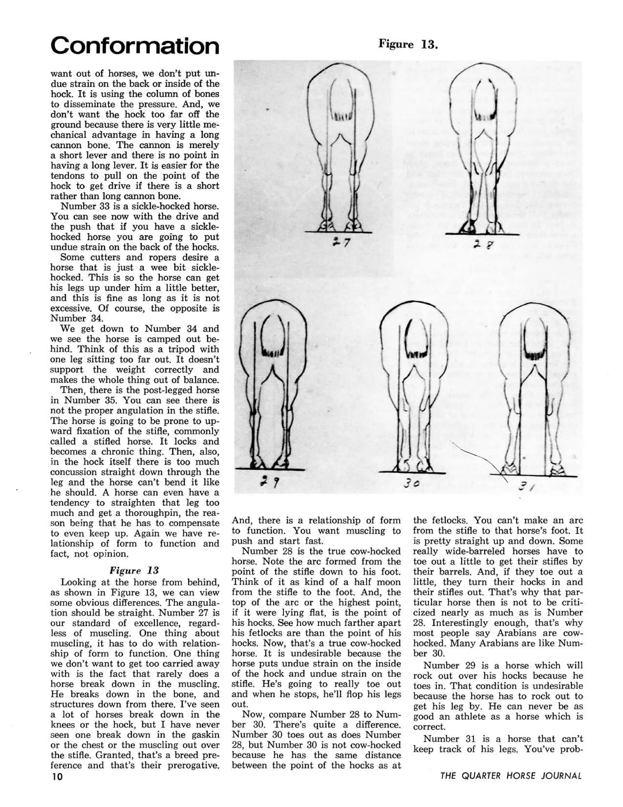 Conformation by dr. beeman | PDF