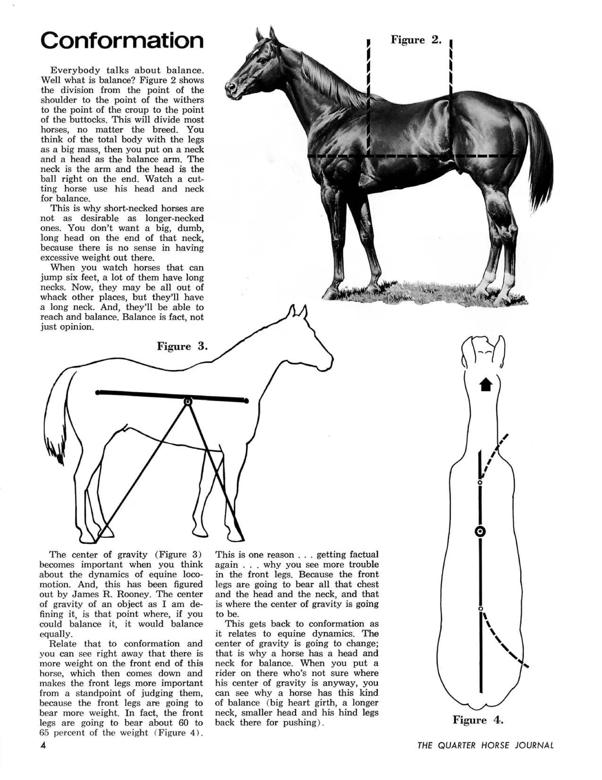 Conformation by dr. beeman | PDF