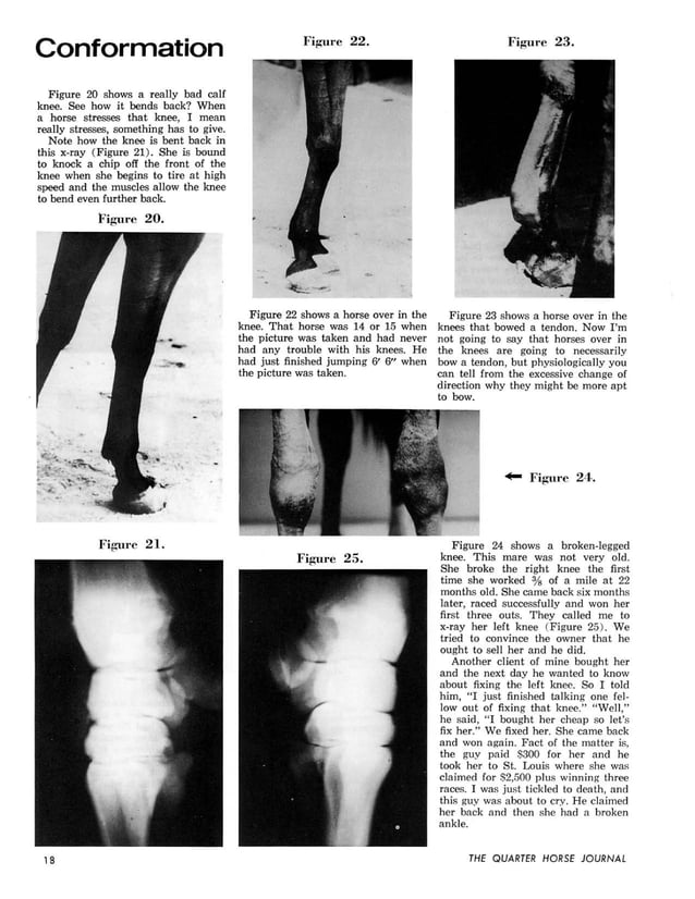 Conformation by dr. beeman | PDF