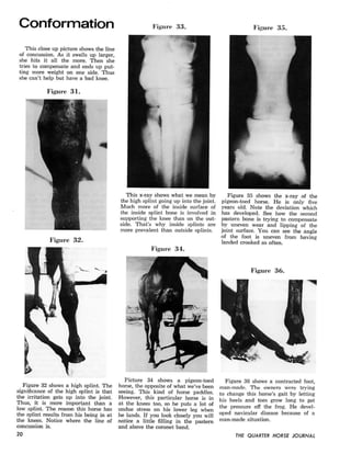 Conformation by dr. beeman | PDF