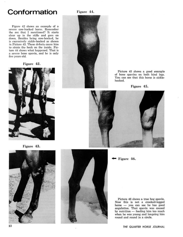 Conformation by dr. beeman | PDF