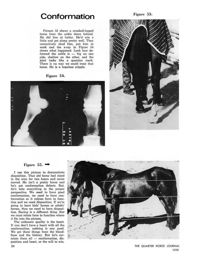 Conformation by dr. beeman | PDF