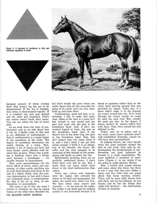 Conformation by dr. beeman | PDF