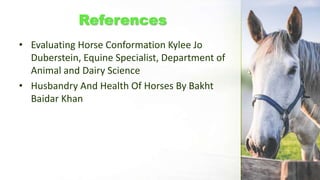 Conformation faults of fore limbs & hind limbs in horses | PPTX