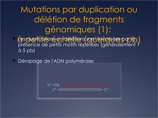 ConfProcessusEvolutionDuret | PPT