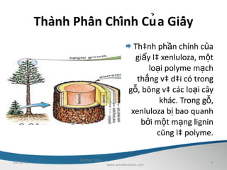 Cong nghe-san-xuat-giay ppt | PPT