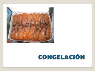 Congelacion | PPTX