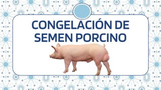 CONGELACION DE SEMEN.pptx