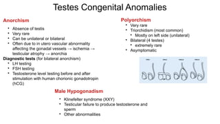 congenital-anomalies-urinary-system.pptx