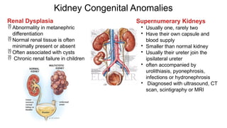 congenital-anomalies-urinary-system.pptx