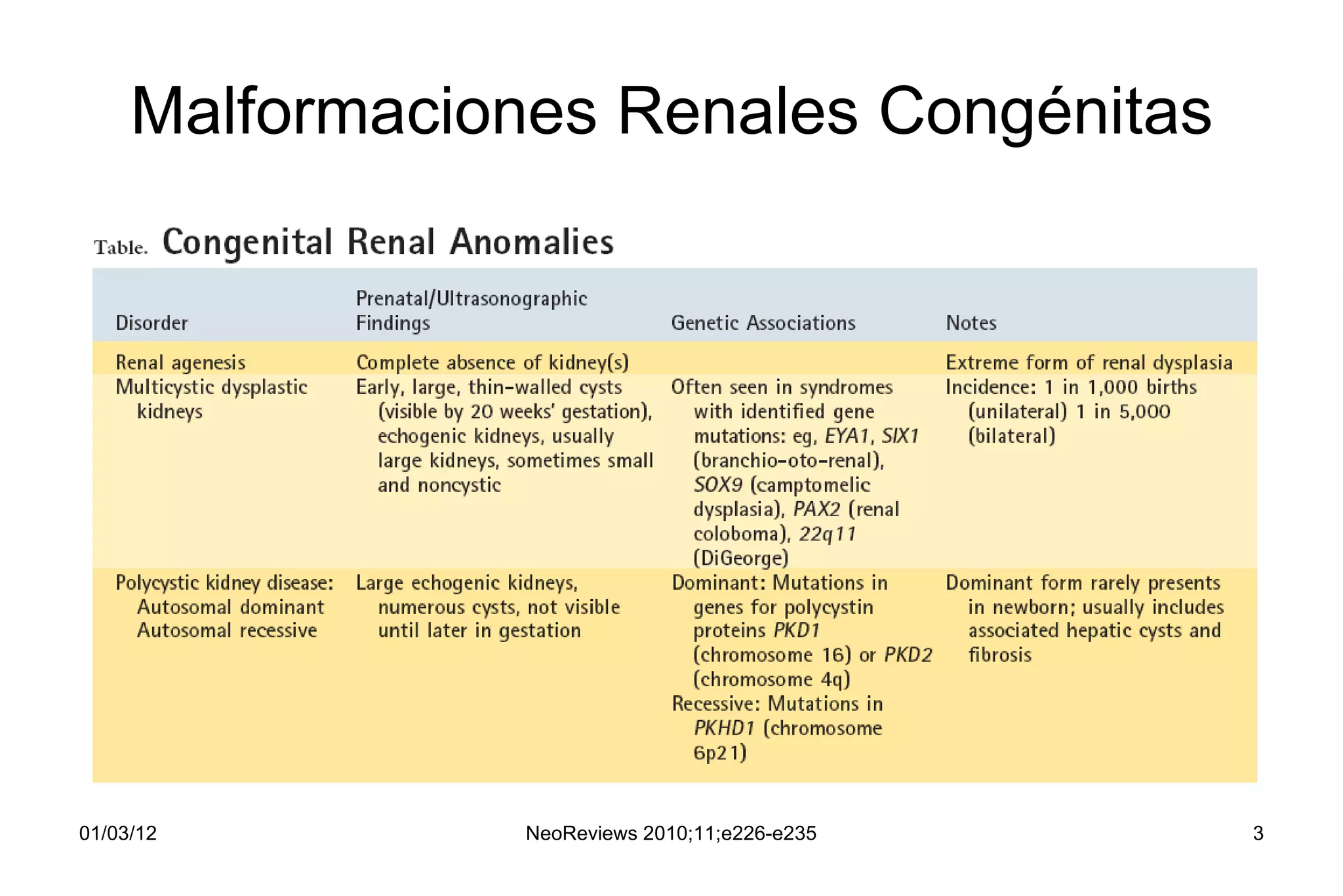 Malformaciones renales | PPT