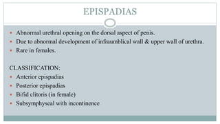 congenital abnormalities.pptx