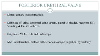 congenital abnormalities.pptx