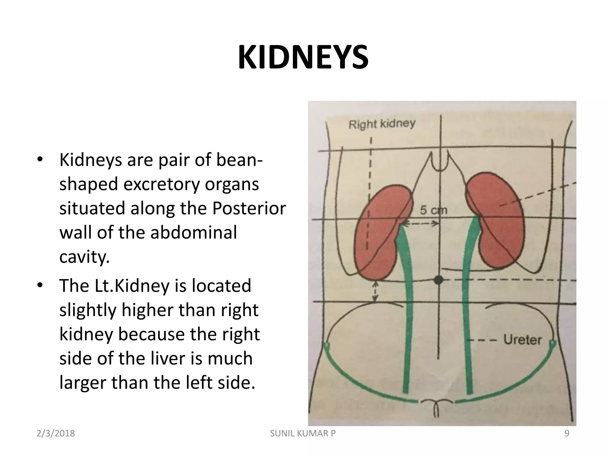 Congenital abnormalities of kidney and urinary system | PPTX