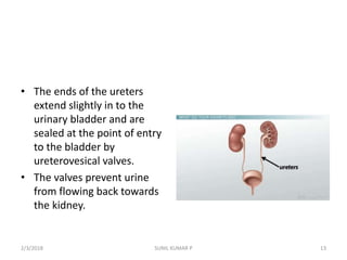 Congenital abnormalities of kidney and urinary system | PPTX