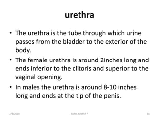 Congenital abnormalities of kidney and urinary system | PPTX