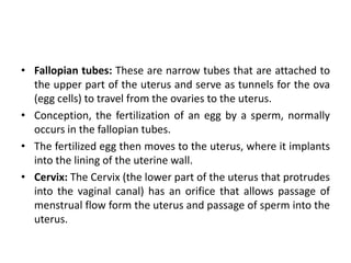 Congenital abnormalities of reproductive system | PPTX