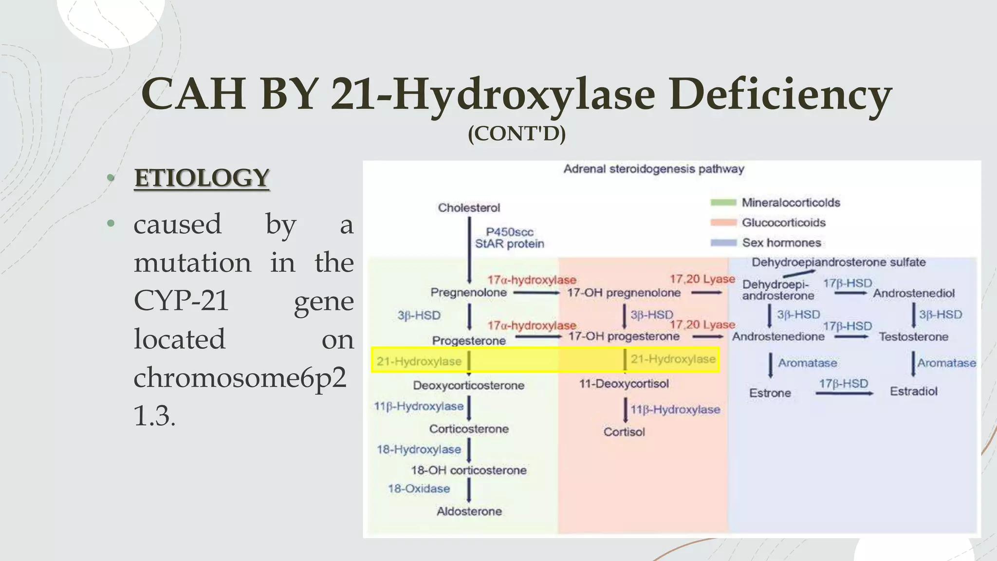 Congenital adrenal hyperplasia.pptx
