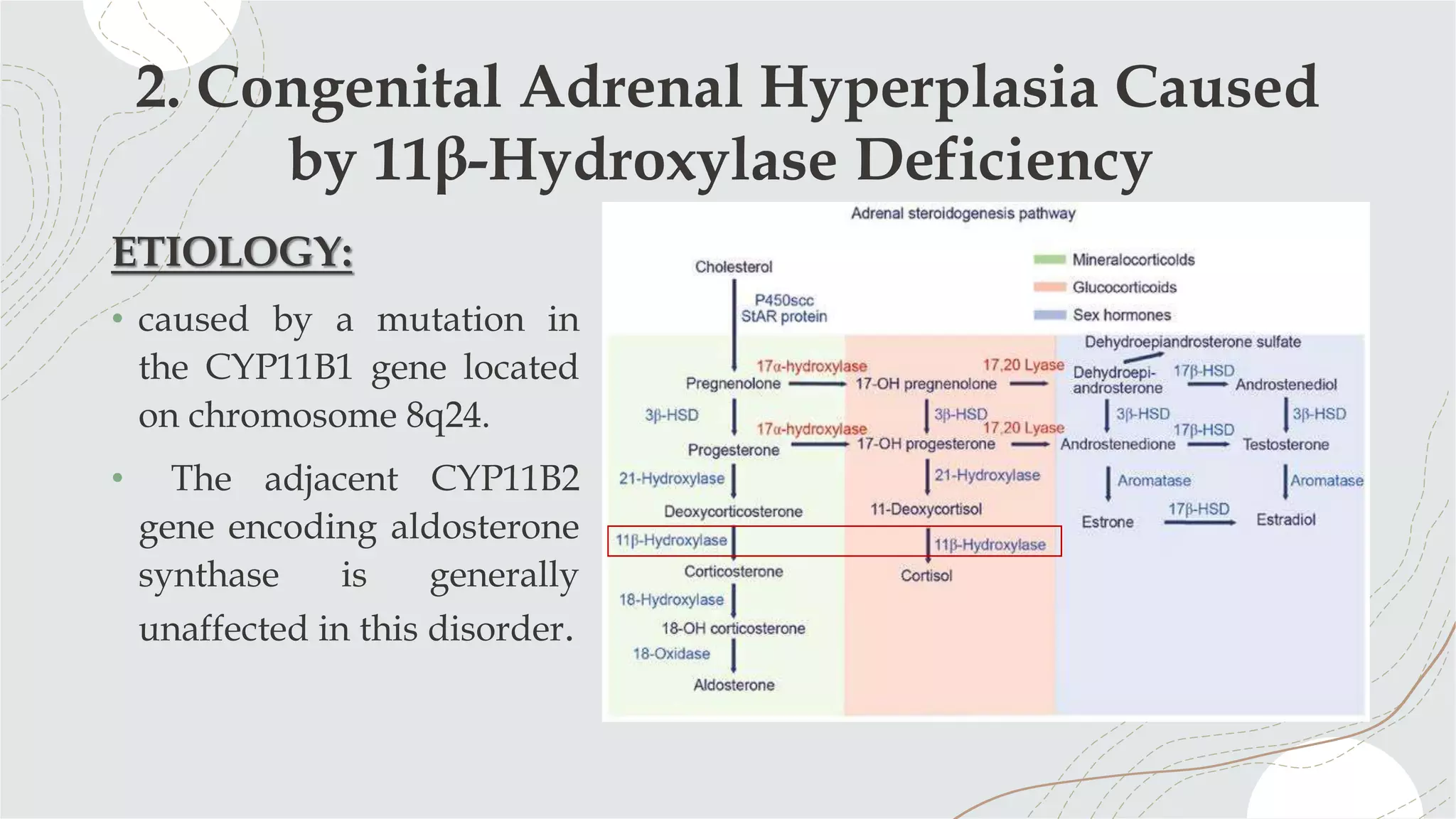 Congenital adrenal hyperplasia.pptx