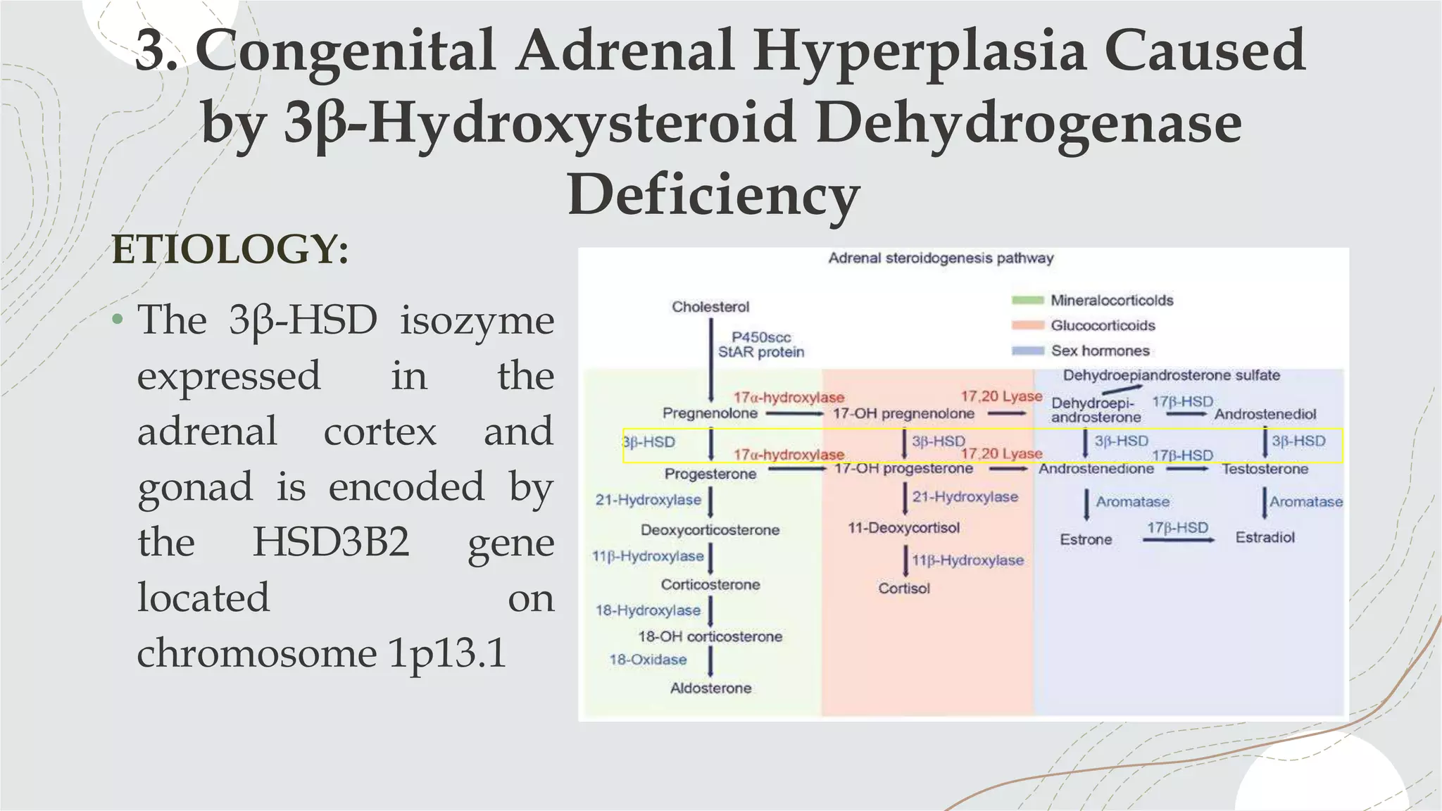 Congenital adrenal hyperplasia.pptx