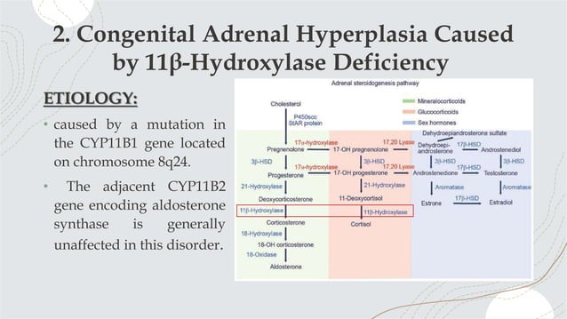 Congenital adrenal hyperplasia.pptx