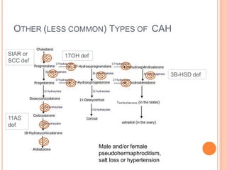 Congenital_Adrenal_Hyperplasia.pptx
