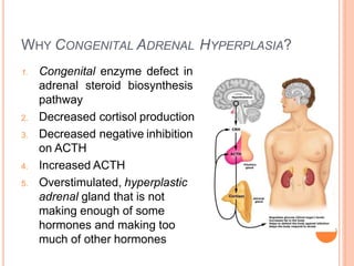 Congenital_Adrenal_Hyperplasia.pptx