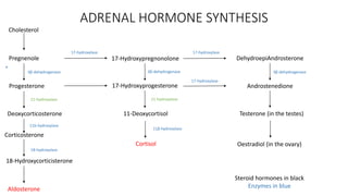 CONGENITAL ADRENAL HYPERPLASIA 240520245 | PPTX