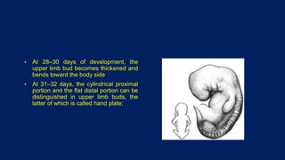Hand CONGENITAL ANAMOLIES classification.pptx