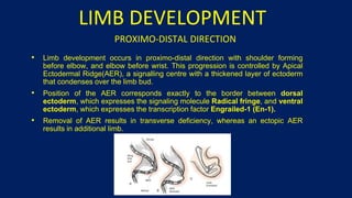 Hand CONGENITAL ANAMOLIES classification.pptx