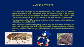 Hand CONGENITAL ANAMOLIES classification.pptx