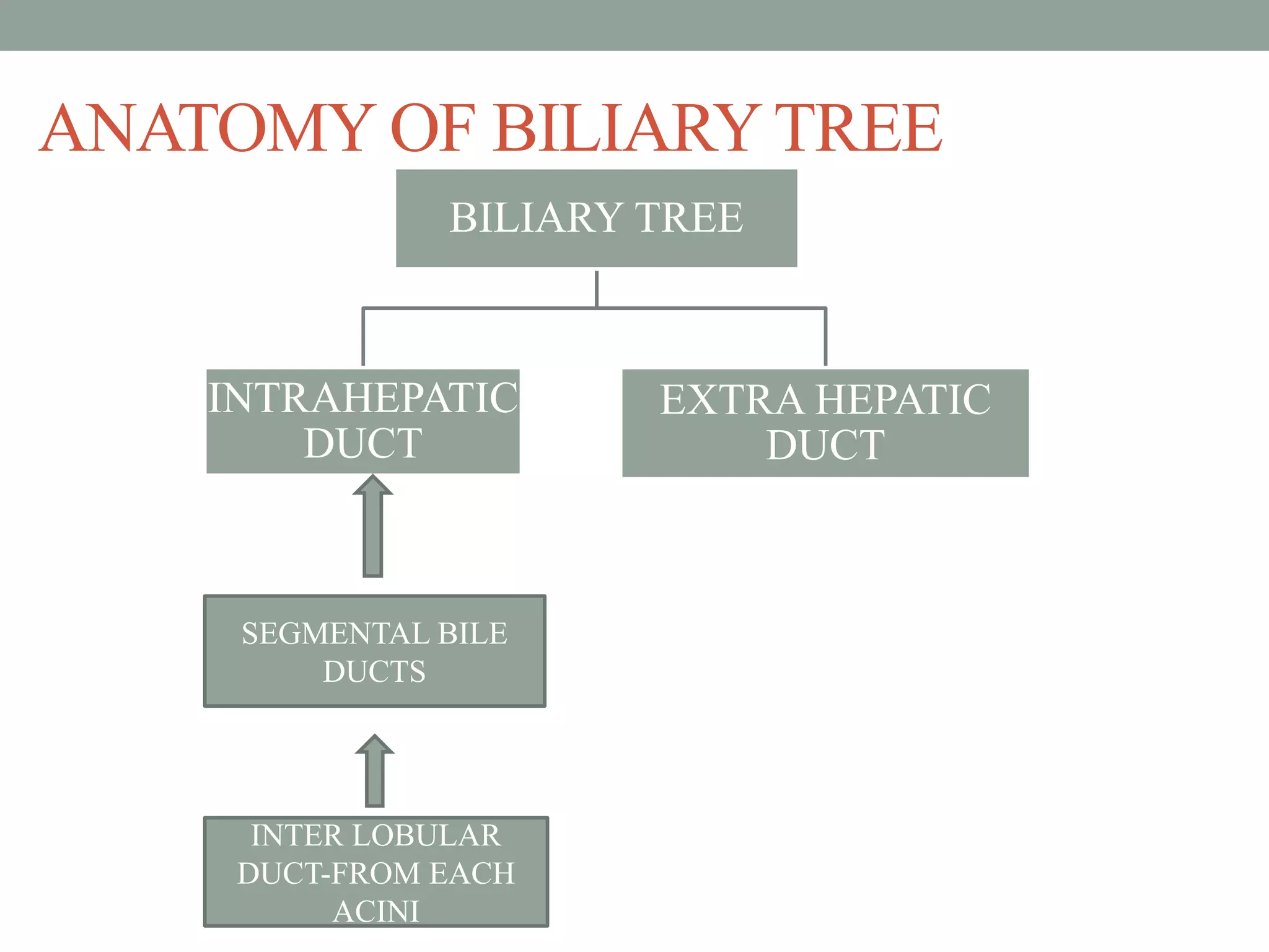 Congenital anamolies and applied anatomy of biliary tree | PPTX