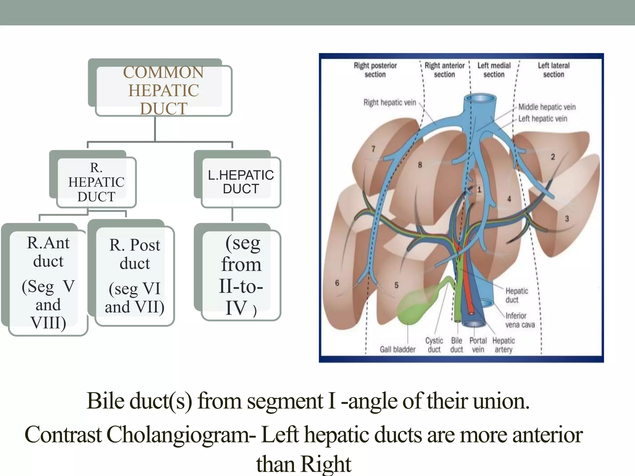 Congenital anamolies and applied anatomy of biliary tree | PPTX