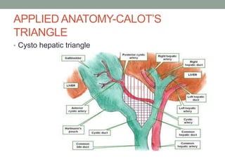 Congenital anamolies and applied anatomy of biliary tree | PPTX