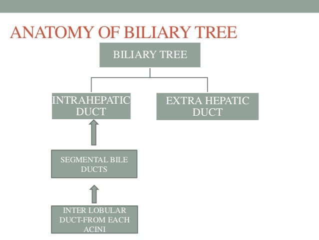 Congenital anamolies and applied anatomy of biliary tree