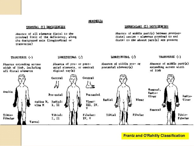 Congenital and developmental anomalies.2560