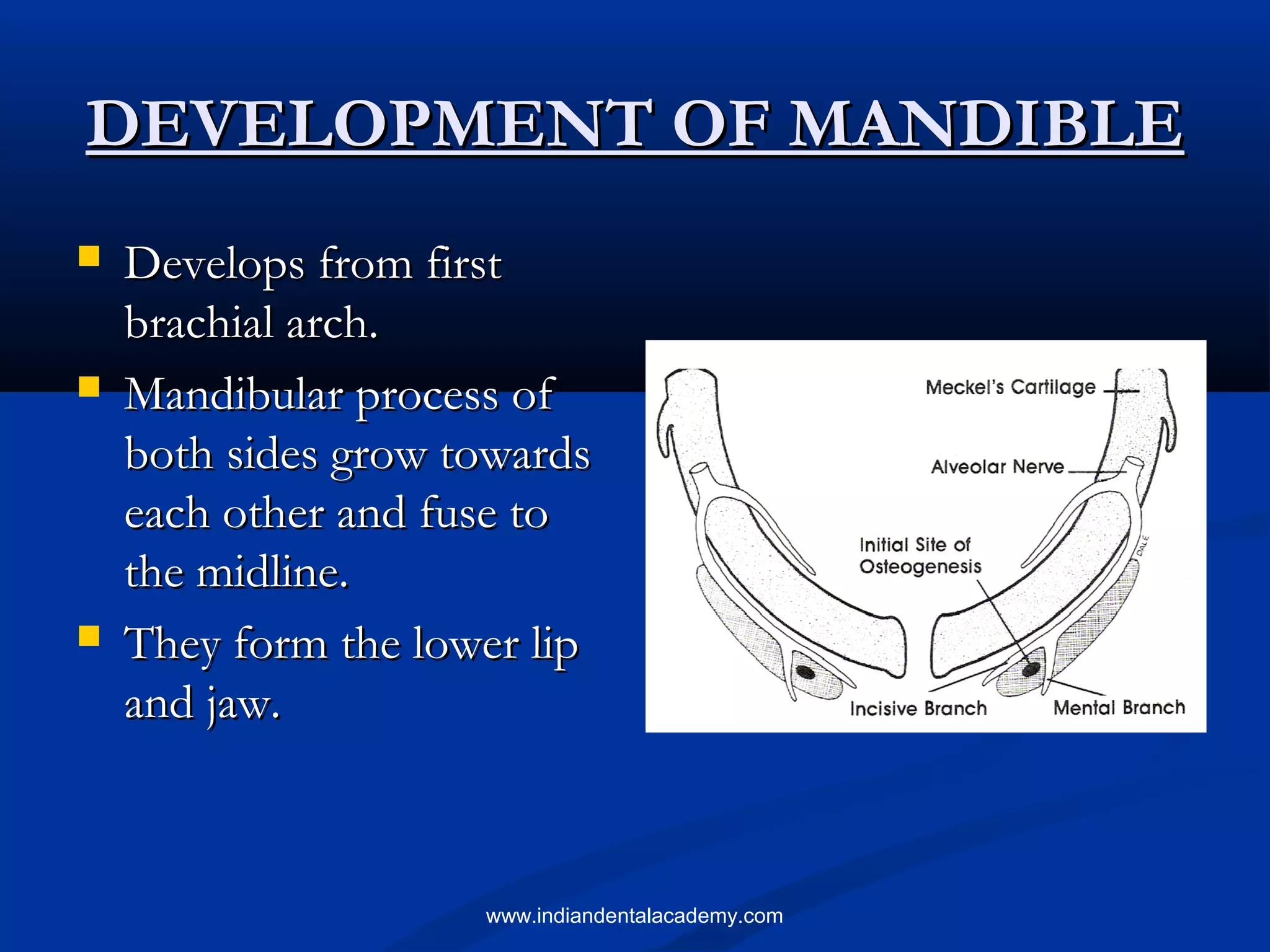 Congenital and developmental disorders of mandible | PPT