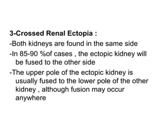 Diagnostic Imaging of Congenital Renal Anomalies | PPT