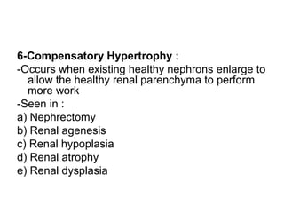 Diagnostic Imaging of Congenital Renal Anomalies | PPT