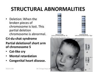 Congenital Anomalies.pdf