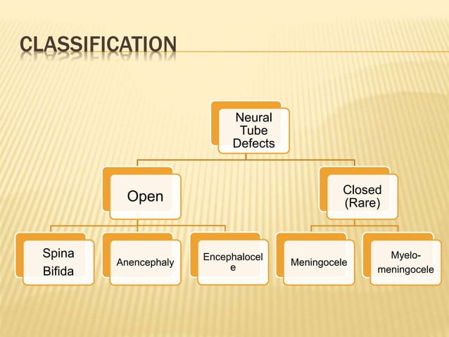 Congenital anomalies/Neural tube defects/ birth defects | PPT