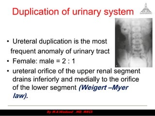 Congenital anomalies ppt | PDF