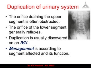 Congenital anomalies ppt | PDF