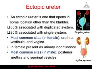 Congenital anomalies ppt | PDF