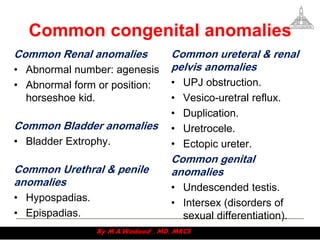 Congenital anomalies ppt | PDF