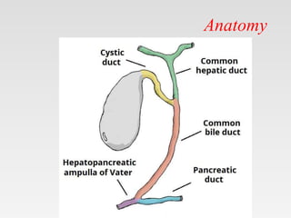Congenital anomalies of bile duct.pptx