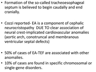 PRANAYA PPT - TRACHEOESOPAHAGEAL FISTULA ( EA-TEF ) | PPTX