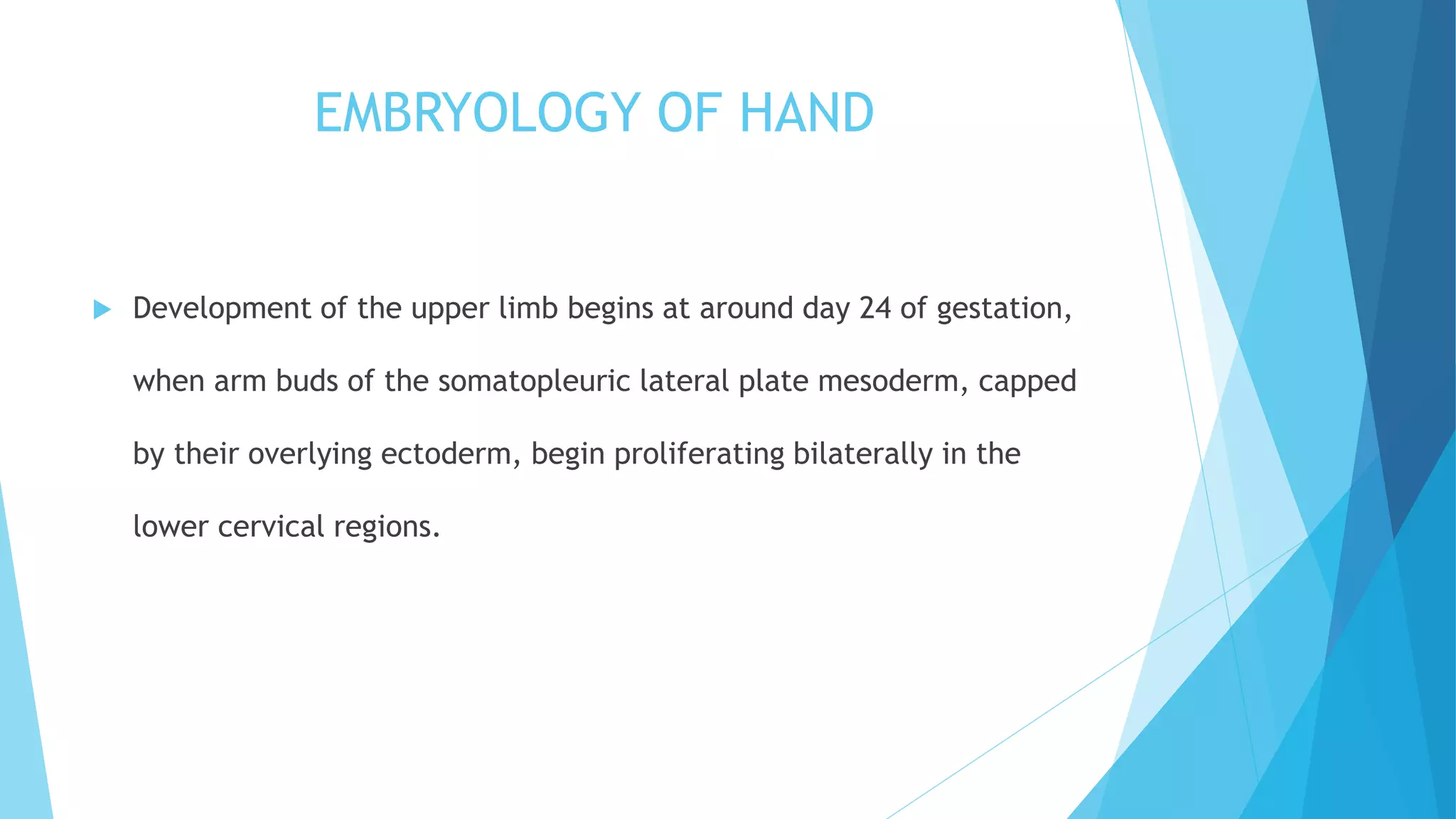 Congenital anomalies of hand | PPTX