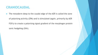 Congenital anomalies of hand | PPTX